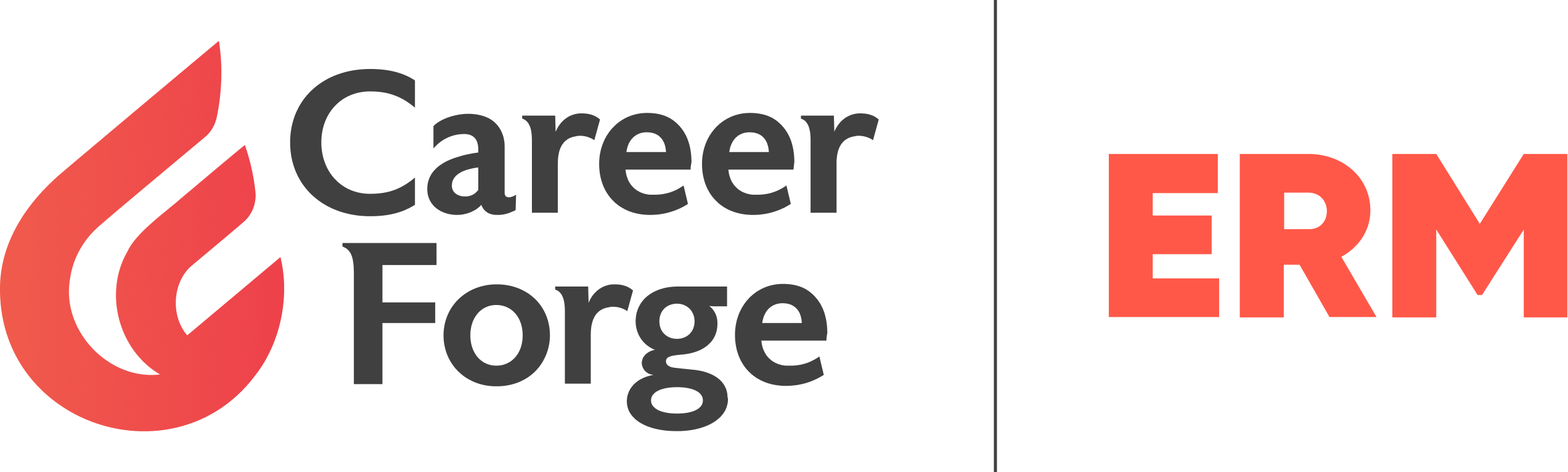 Career Forge | ERM